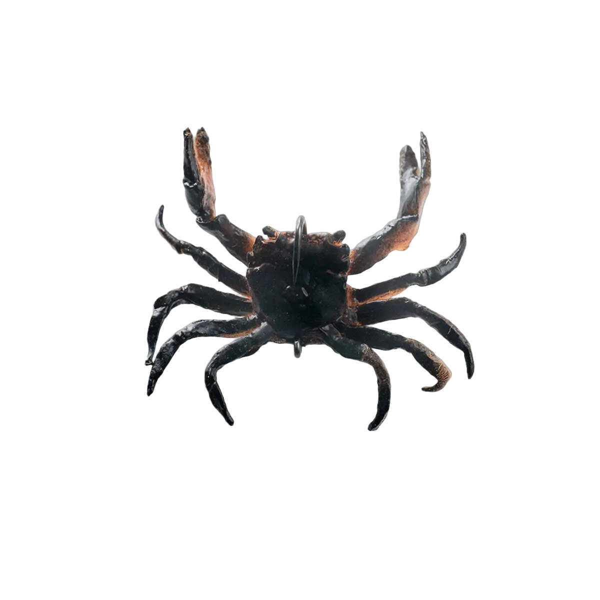 Chasebaits Crusty Crab 50 Col 06 Muddie | Outback Equipment