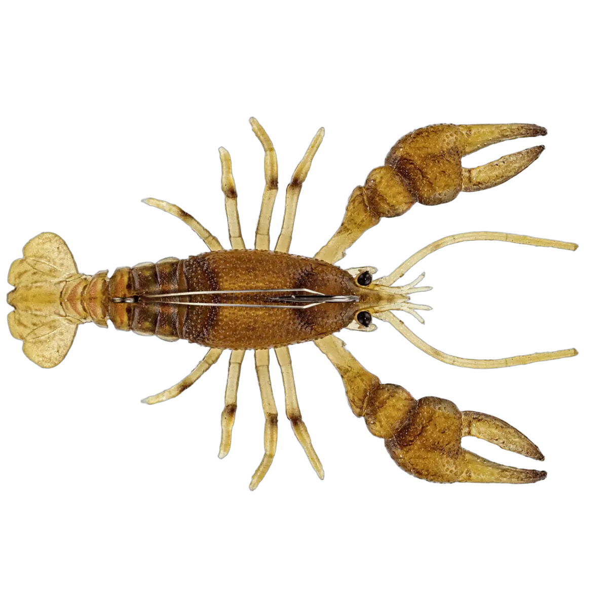 Chasebaits Mud Bug 95 Col 07 Root Beer | Outback Equipment